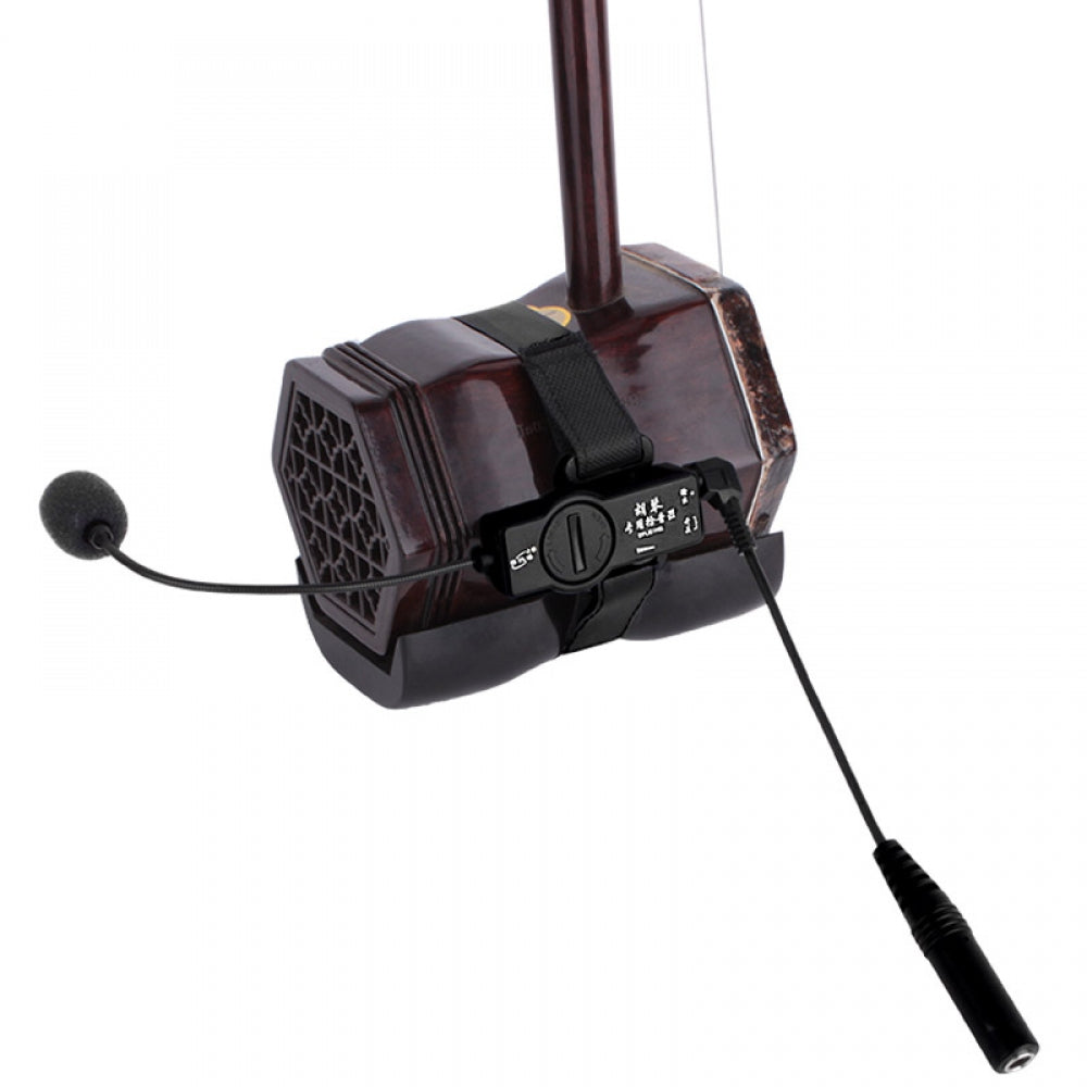 Mics for ethnic string instruments : r/SoundEngineering