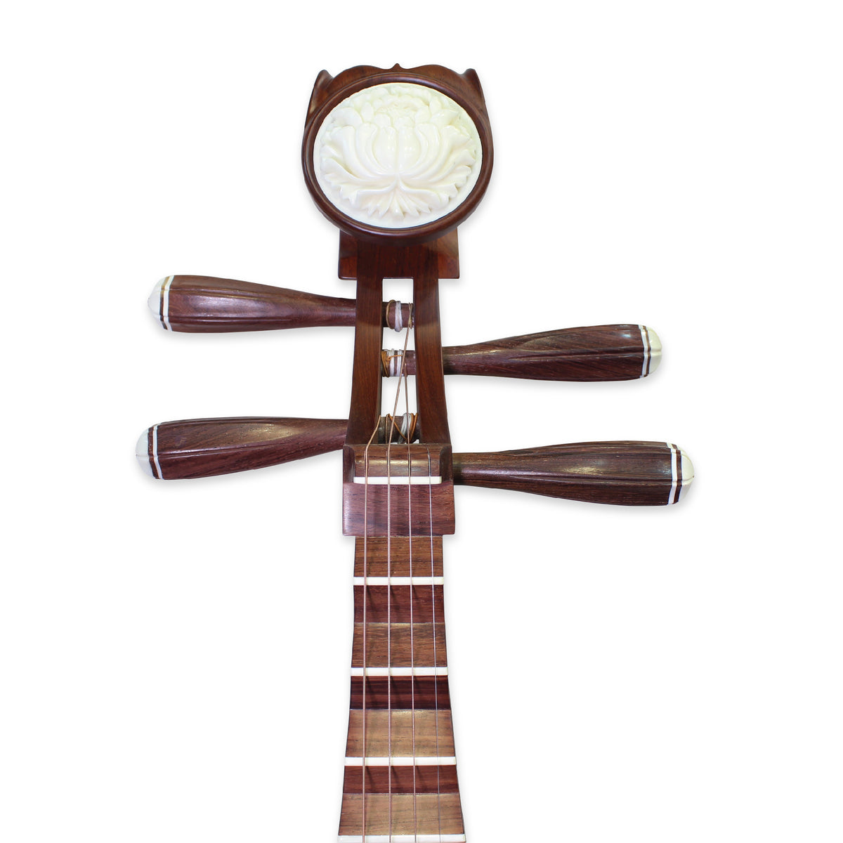 Professional Premium Rosewood Pipa by Yin Song Lan | Eason Music– Eason ...